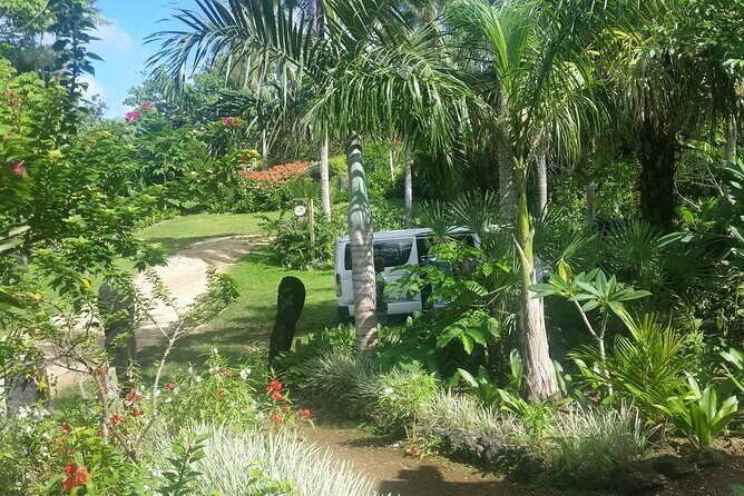 Eden's Kava Experience - Authenticity and Value: Why It’s Worth Doing