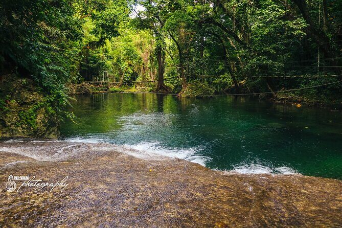 Eden's Kava Experience - The Sum Up