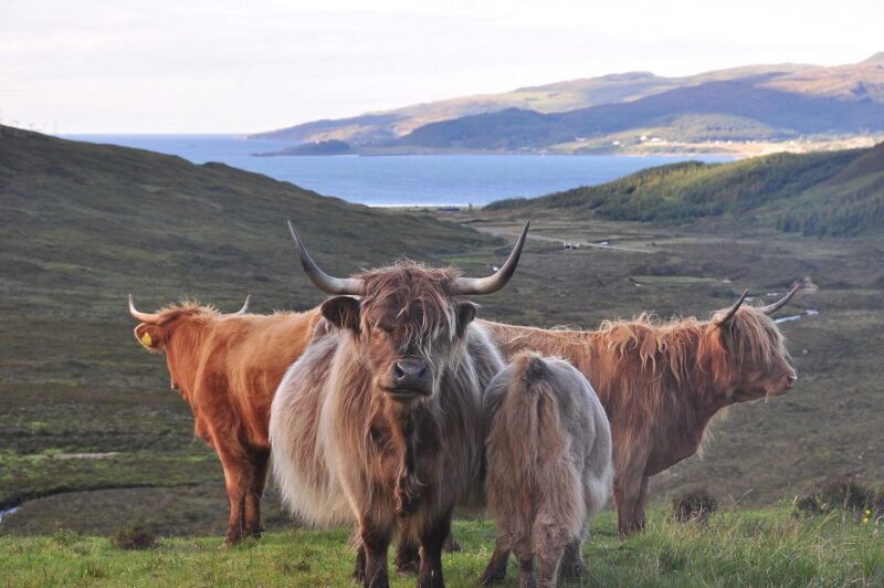 Edinburgh: 2-Day Loch Ness, Glencoe & Highlands Tour - Key Points