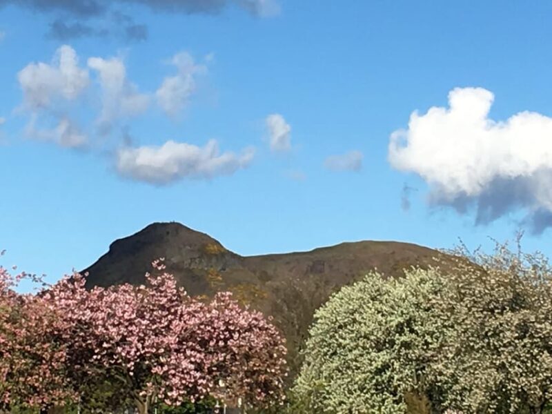 Edinburgh: a Scottish experience for Children in German - Practical Details and Value