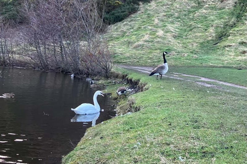 Edinburgh: Calton Hill & Arthur's Seat Hike - Cost and Value
