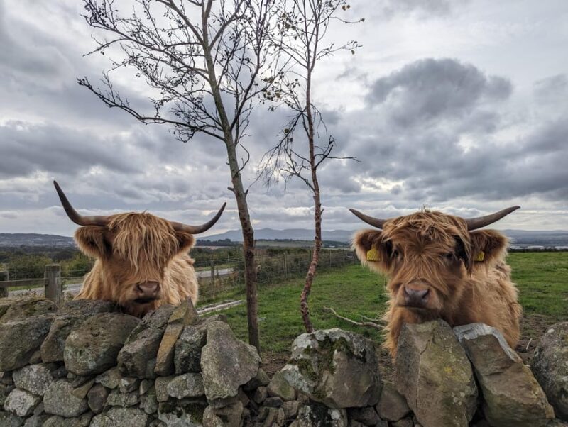 Edinburgh: Harry Potter, Glenfinnan Viaduct & Highland Tour - A Deep Dive into the Experience