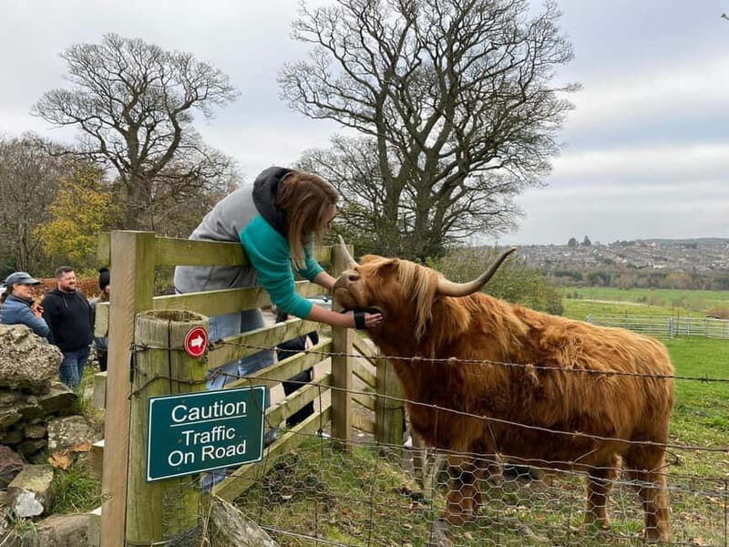 Edinburgh: Highland Cow, Blackness Castle, and Cake Tour - Discovering Blackness Castle