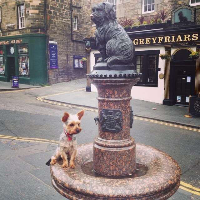 Edinburgh: History Lovers Old Town Walking Tour - Who Is This Tour Best For?