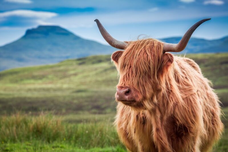 Edinburgh: Loch Ness, Inverness & Highlands Tour in Spanish - Loch Ness and Fort Augustus: The Monster’s Realm