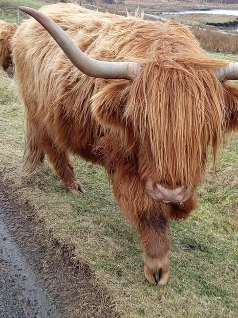 Edinburgh: Stirling, Highlands, Loch Ness, Mull 5-Day Tour - Day 1: Edinburgh to Stirling – Castles and Iconic Landmarks