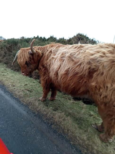 Edinburgh: Stirling, Highlands, Loch Ness, Mull 5-Day Tour - Day 3: Loch Ness and Fort William – Majesty of Nature and Legend