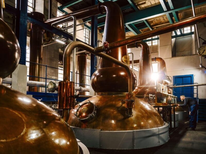 Edinburgh to Scottish Highlands: Whisky, Views & Hairy Coos - Who Should Consider This Tour?
