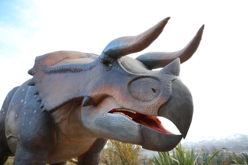 Edinburgh Zoo Entrance Ticket - Unique Species and Special Exhibits