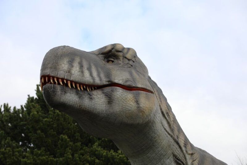 Edinburgh Zoo Entrance Ticket - Potential Drawbacks and Considerations