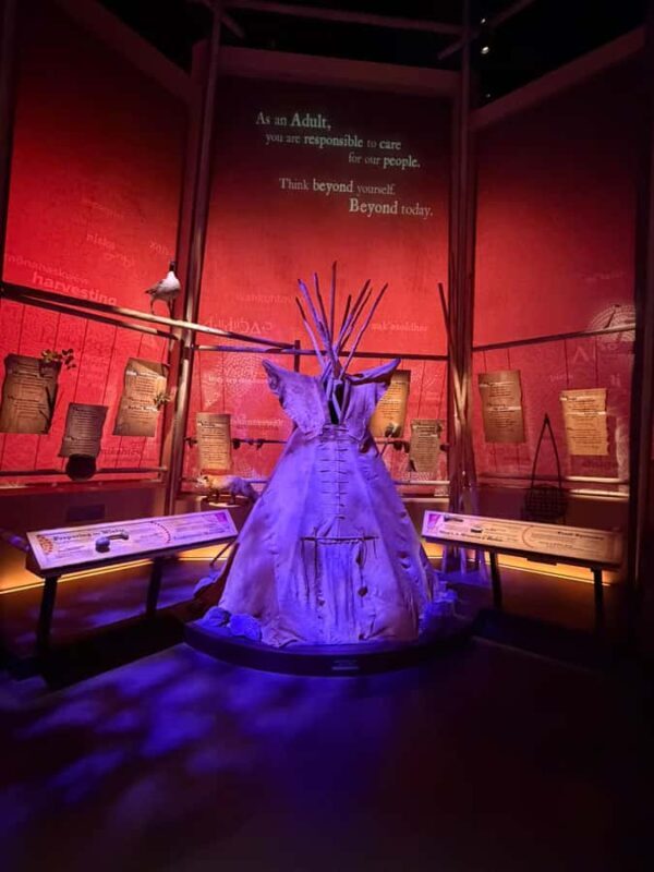 Edmonton: Indigenous Heritage Tour with Minivan Transport - Exploring Edmonton’s Indigenous Heritage: A balanced look at the Indigenous Heritage Tour with Minivan Transport