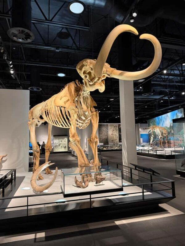 Edmonton: Museums and Muttart Conservatory Tour - Practical Aspects: Logistics and Value