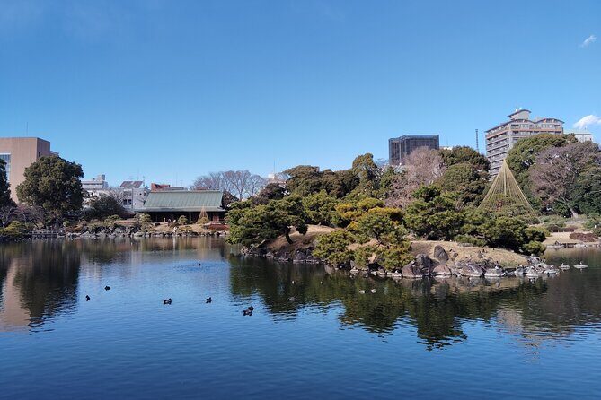 Edo Garden and Museum Tour through Tokyo Past - Who Should Consider This Tour?