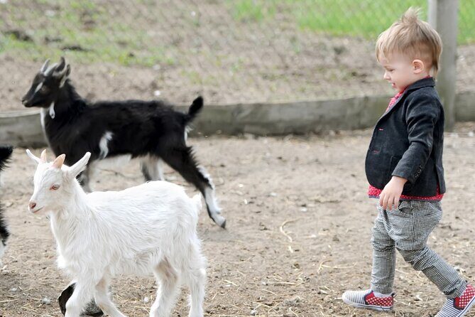 Educational Farm Adventure Tour on Bainbridge Island - A Deep Dive into the Bainbridge Island Experience
