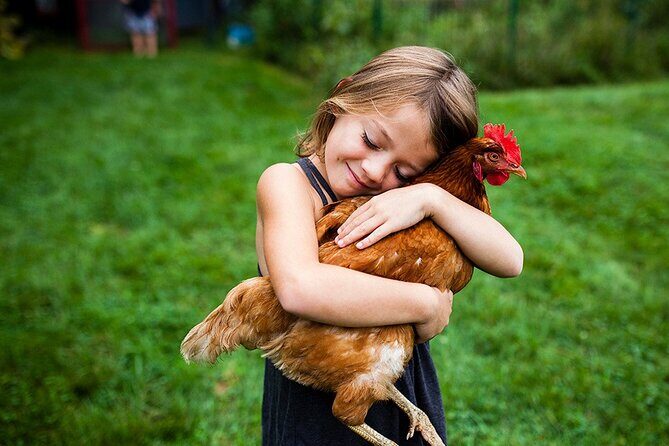Educational Farm Adventure Tour on Bainbridge Island - Final Thoughts