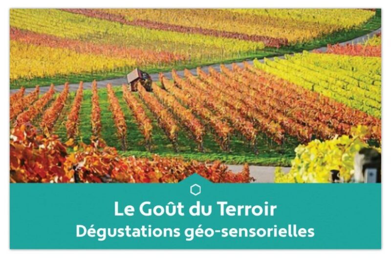Educational tasting of 3 Champagnes from Winegrowers - FAQ