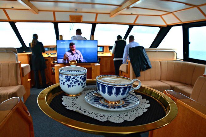 Educational Whale Watching Tour from Perth - The Educational Component