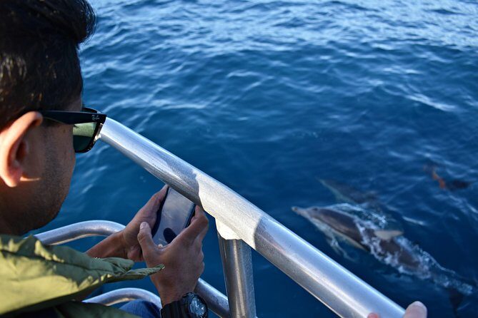 Educational Whale Watching Tour from Perth - Technology Enhancements and Extras