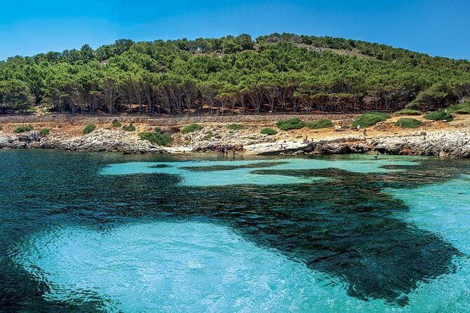Egadi Sail Boat Tour to Favignana and Levanzo from Trapani - Who Will Love This Experience?