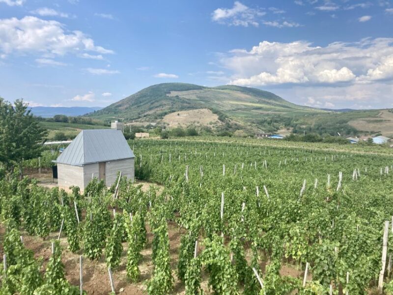 Eger: Countryside, Culture, and Wine Private Tour - Frequently Asked Questions