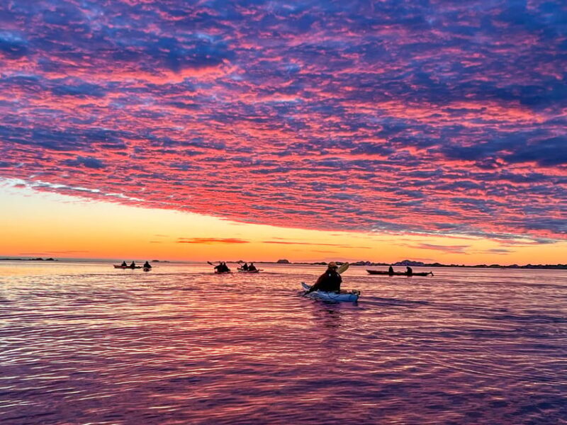 Eggum: Lofoten Islands Midnight Sun Kayak Tour - Authentic Feedback from Travelers