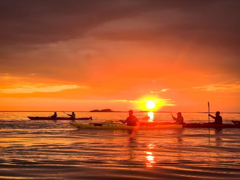 Eggum: Lofoten Islands Midnight Sun Kayak Tour - The Sum Up: Who Is This Tour Right For?