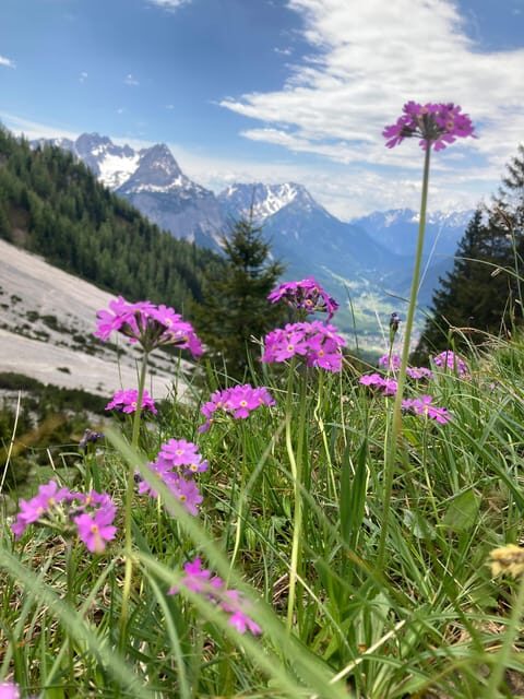 Ehrwald: Hiking Tour into breath taking Nature - The Scenic Highlights and Local Flavors