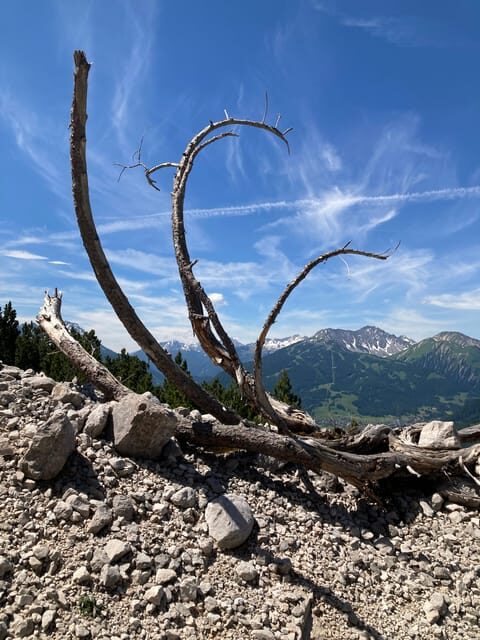 Ehrwald: Hiking Tour into breath taking Nature - FAQs