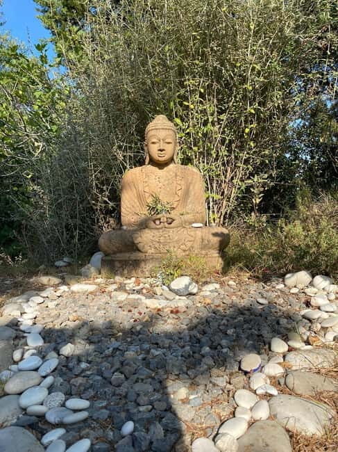 Ehrwald: Time to Relax-Yoga meets Mountain Tour - The Itinerary Breakdown