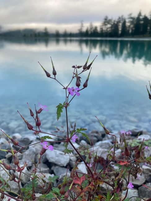 Ehrwald: Time to Relax-Yoga meets Mountain Tour - The Sum Up: Who Is This Tour For?