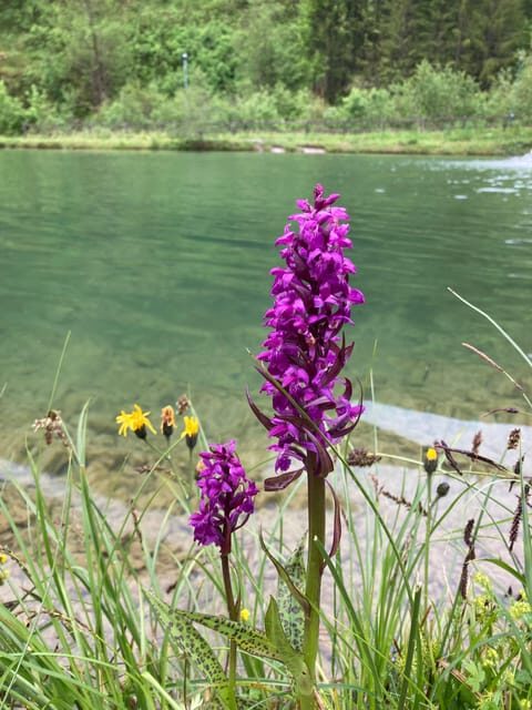 Ehrwald: Trailrunning Tours - Final Thoughts