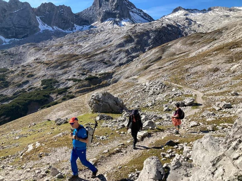 Ehrwald: Zugspitze mountain hike day tour via Gatterl - What others say: Authentic traveler insights