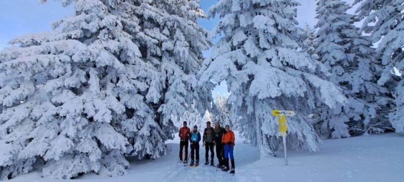 Ehrwald: Zugspitze Snowshoe Hiking Tour with Mountain Views - Starting Point and Logistics