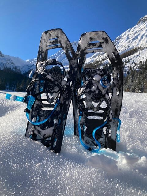 Ehrwald: Zugspitze Snowshoe Hiking Tour with Mountain Views - Scenic Highlights and Photo Opportunities