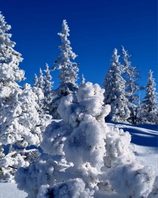 Ehrwald: Zugspitze Snowshoe Hiking Tour with Mountain Views - What’s Included and Whats Not