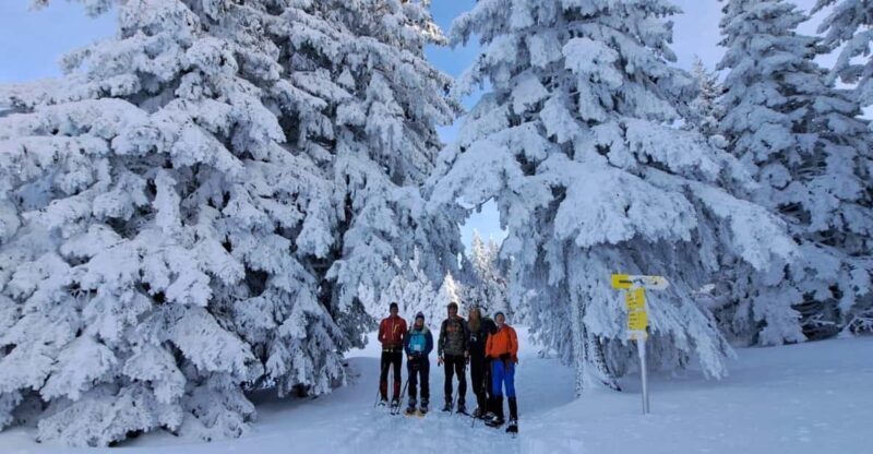 Ehrwald: Zugspitze Snowshoe Hiking Tour with Mountain Views - Weather and Flexibility