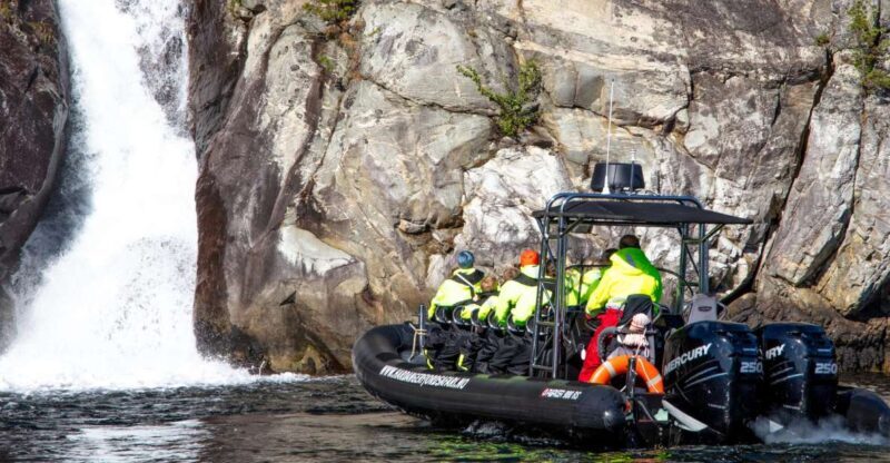 Eidfjord: 1-Hour Fjord RIB Tour - Discover the Eidfjord 1-Hour Fjord RIB Tour: A Detailed Review
