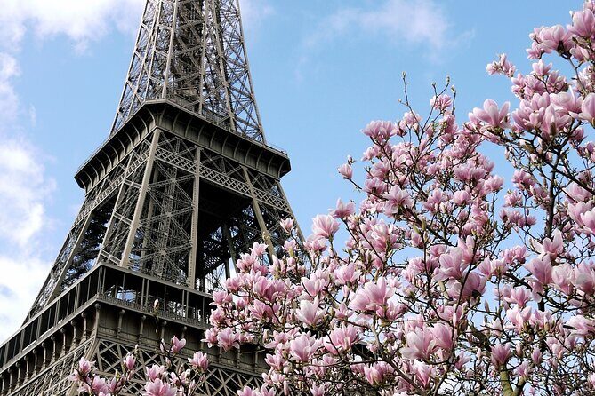 Eiffel Tower Summit Semi-Private Guided Tour - Potential Drawbacks & Considerations