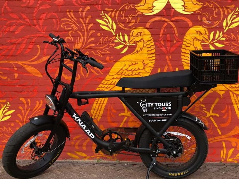 Eindhoven: E-Fatbike Tour The Footsteps Of Vincent van Gogh - Key Points