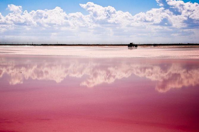 Ek Balam, Rio Lagartos and Las Coloradas Private Tour from Cancun - Whats Included and What to Expect