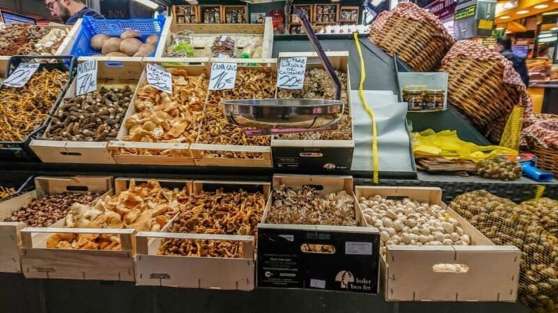 El Born Barcelona: Group Tour Tastings of Catalonia Cuisine - FAQ: Your Practical Guide to the Catalonia Cuisine Tour