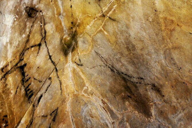 El Castillo Caves and Paleotithic Art- small groups - Setting the Scene: Santander Base and Transport