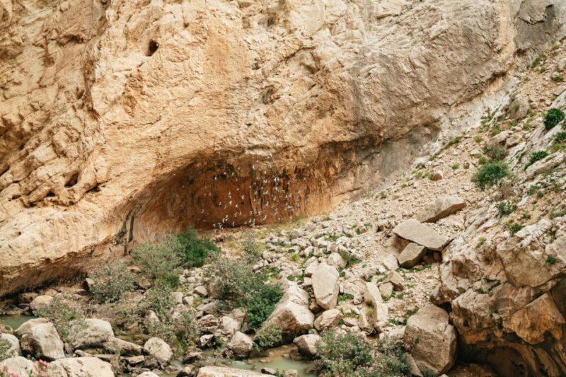 El Chorro: Caminito del Rey Guided Tour with Shuttle Bus - Authentic Experiences and Reviews