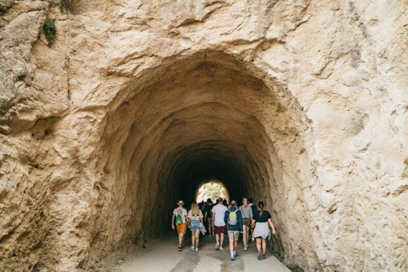 El Chorro: Caminito del Rey Guided Tour with Shuttle Bus - Who Should Consider This Tour?