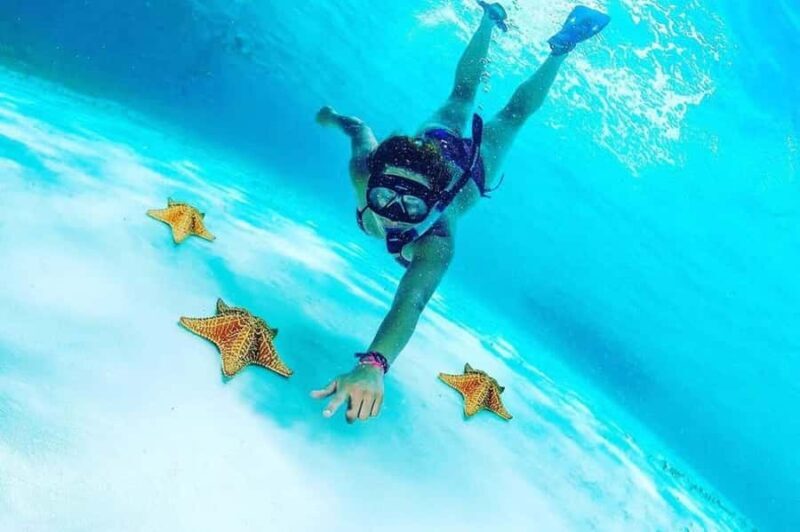 El Cielo and El Cielito Catamaran Tour with Slide and Open Bar - The Itinerary in Detail