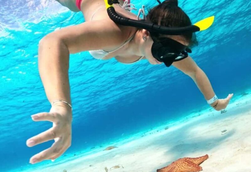 El Cielo and El Cielito Catamaran Tour with Slide and Open Bar - The Onboard Experience