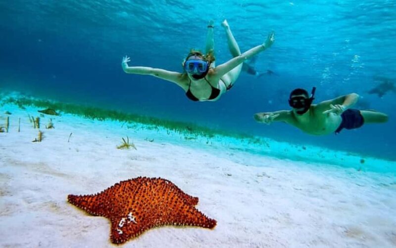 El Cielo and El Cielito Catamaran Tour with Slide and Open Bar - Value and Pricing