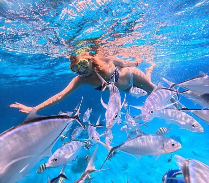 El Cielo and El Cielito Catamaran Tour with Slide and Open Bar - The Sum Up