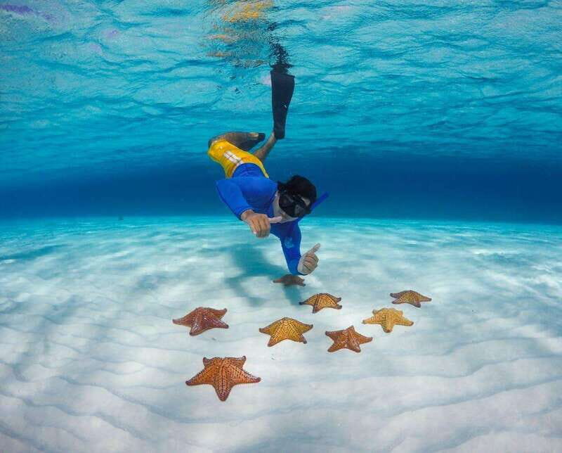 El Cielo and El Cielito in Cozumel with Beach Club, Food, and Open Bar - Key Points