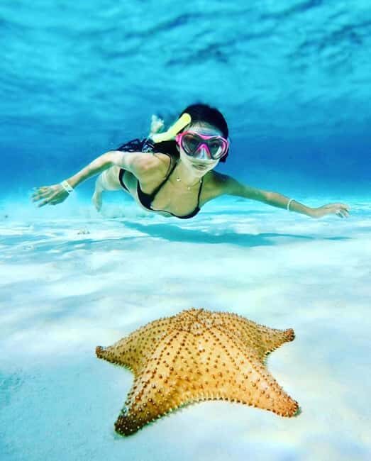 El Cielo and El Cielito in Cozumel with Beach Club, Food, and Open Bar - Overall Impression and Who It Suits